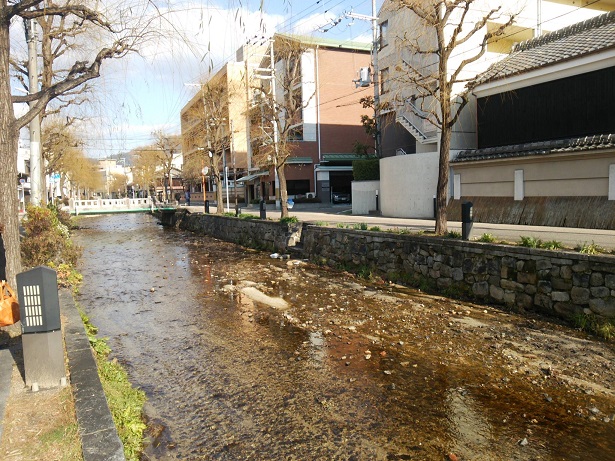 京都ランチの会開催しました！東山区祇園にある広東料理の森幸さんにて！